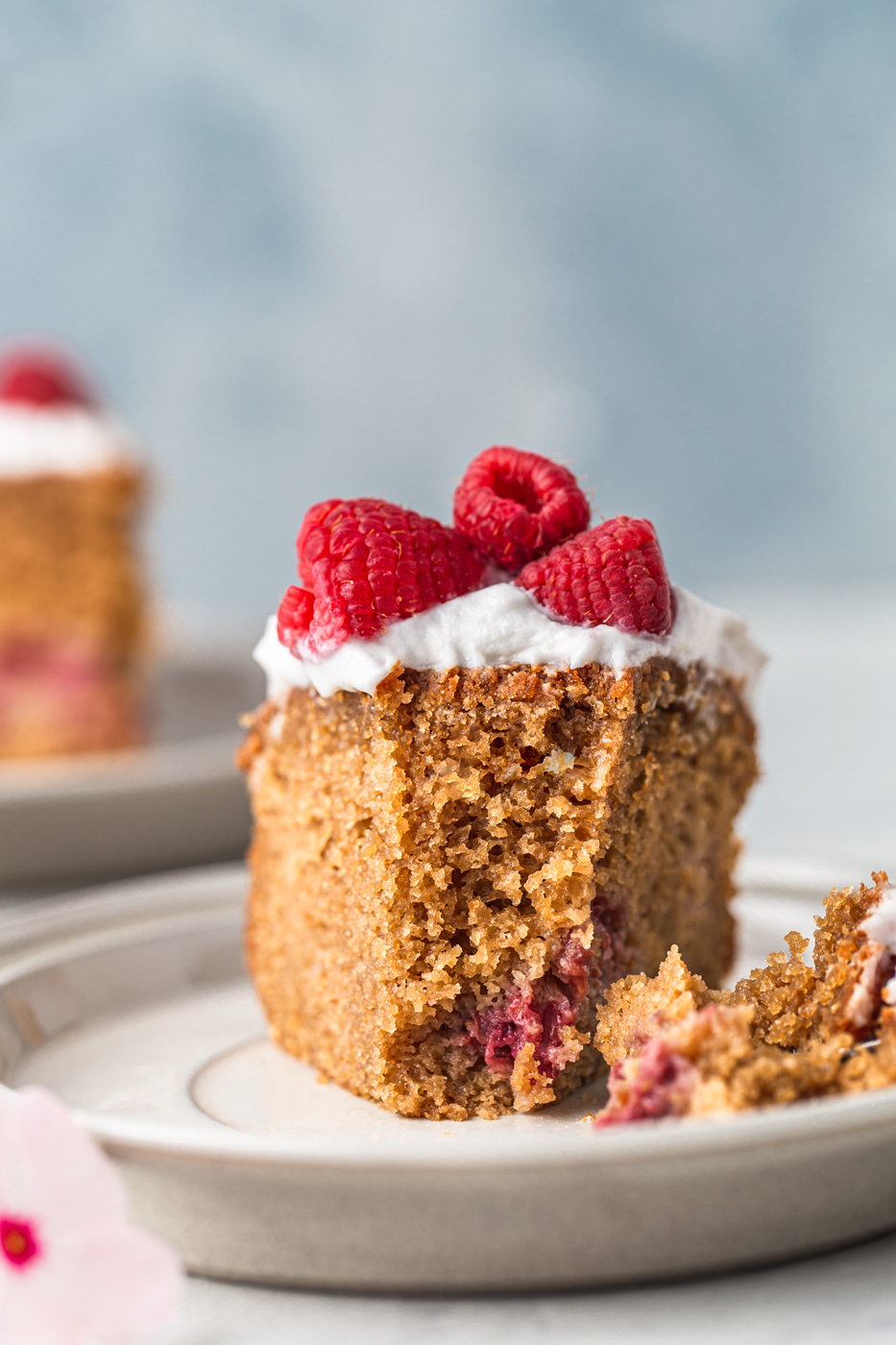 Healthy Paleo Raspberry Cake (Gluten-Free, Dairy-Free) - NattEats